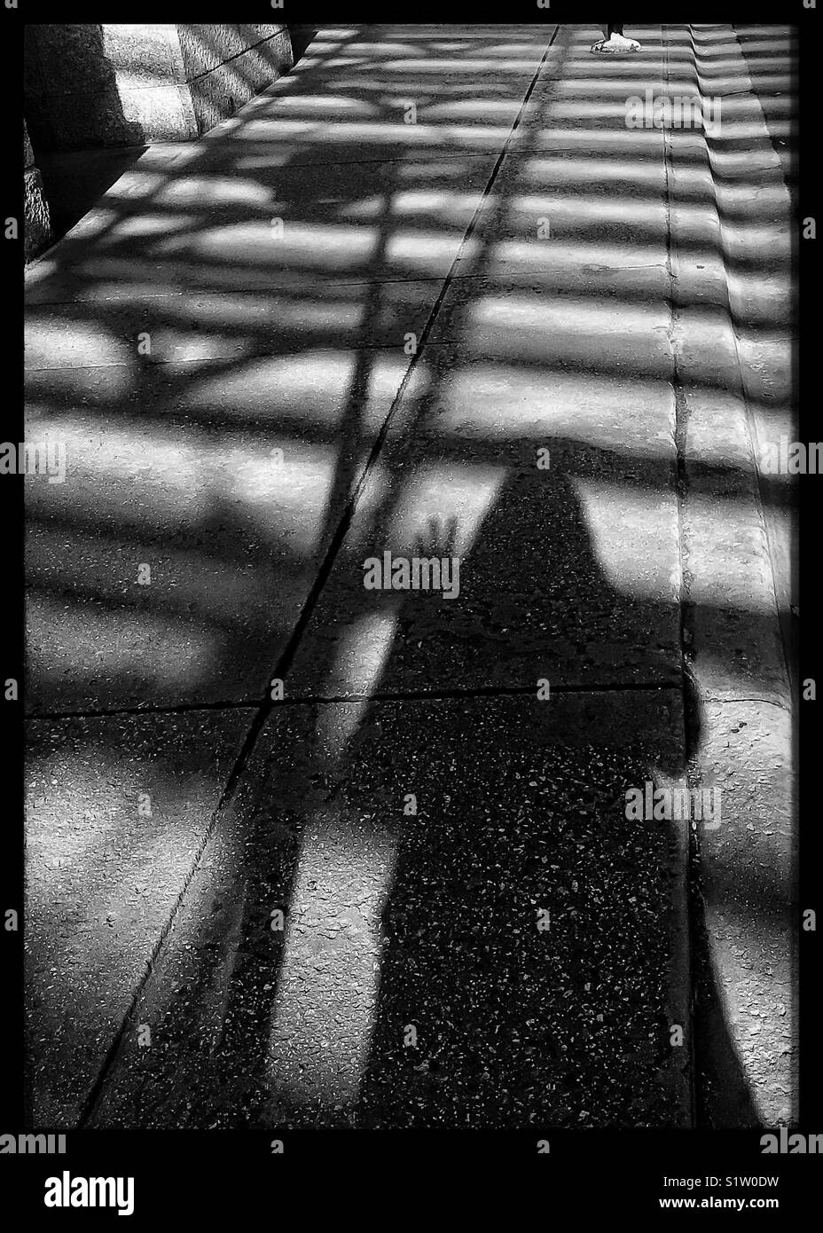 Shadow of person architecture Black and White Stock Photos & Images - Alamy