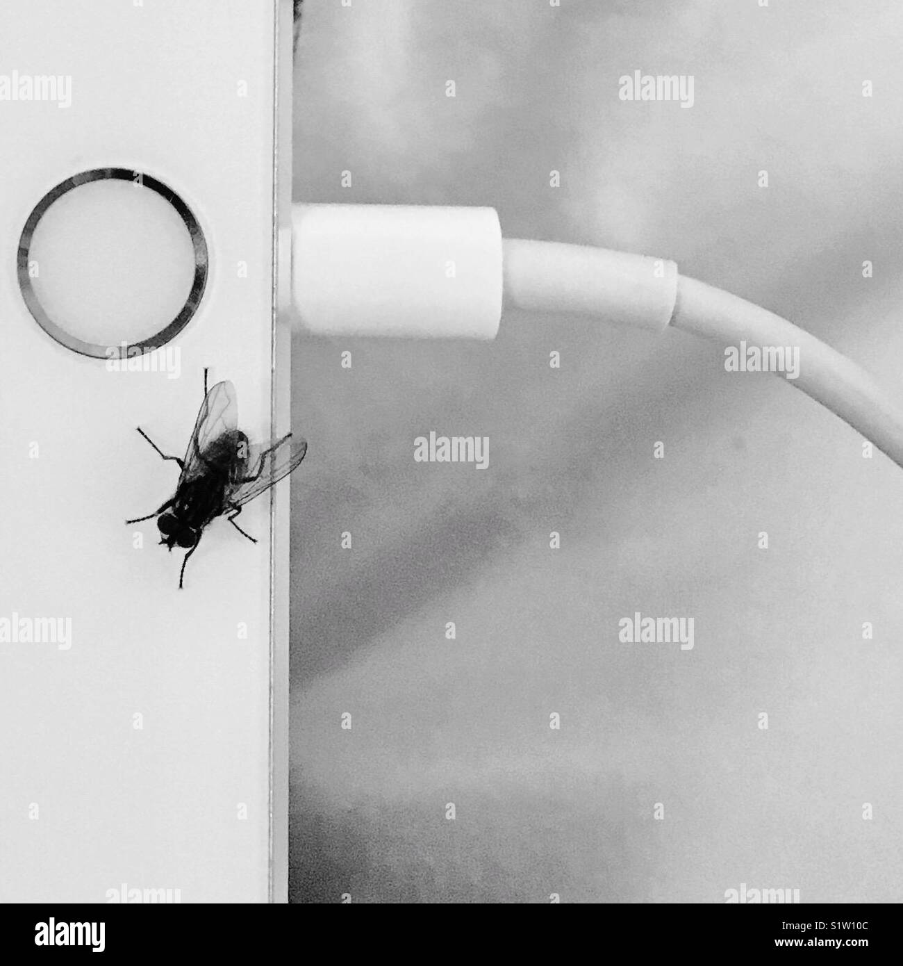 Tablet button hi-res stock photography and images - Alamy