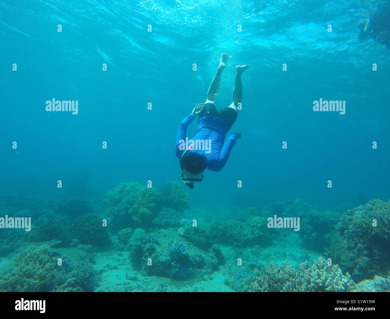 Free diving hi-res stock photography and images - Alamy