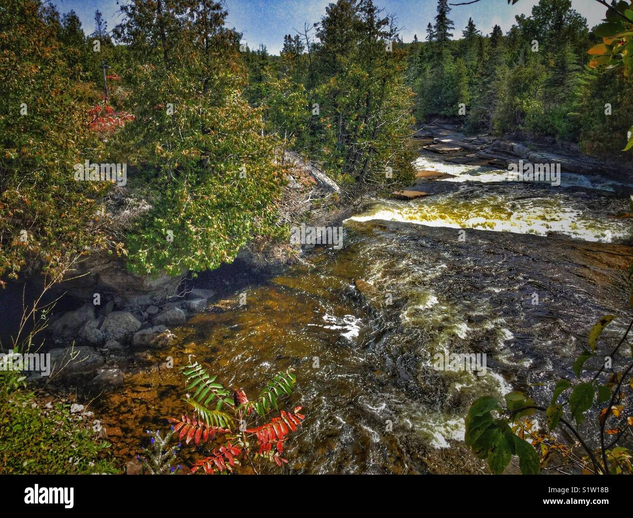 Northern ontario forest hi-res stock photography and images - Alamy