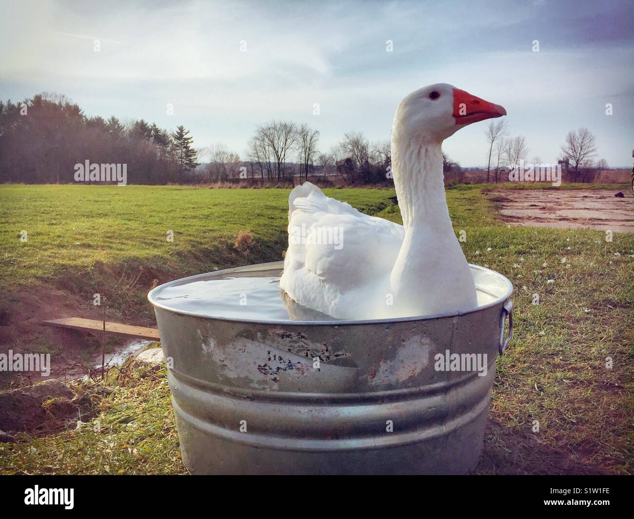 Bathing tub hi-res stock photography and images - Alamy