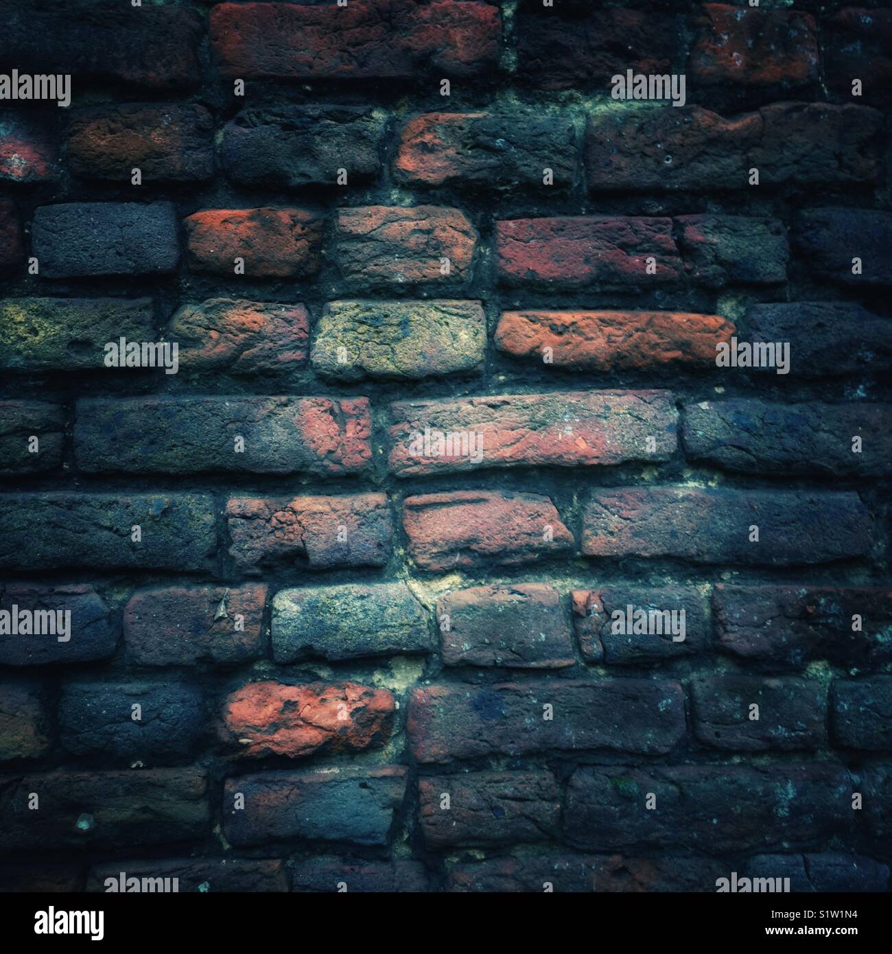Stuck to wall hi-res stock photography and images - Alamy