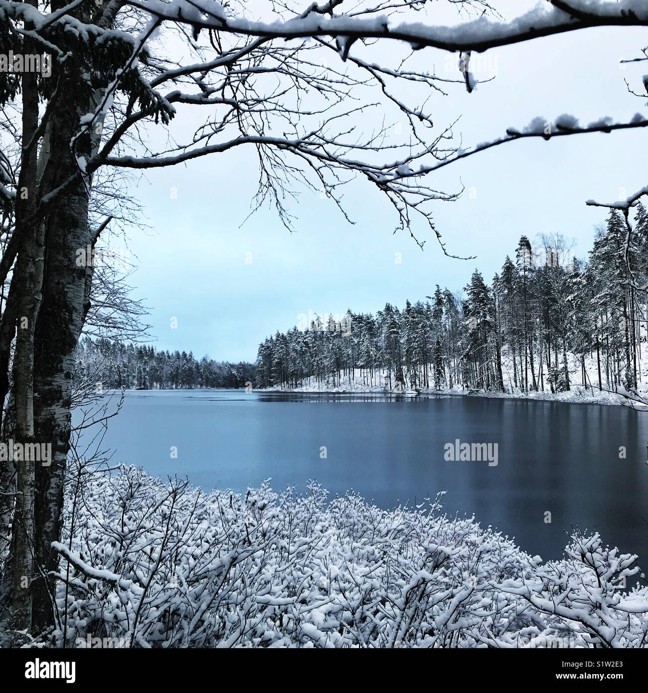 Almost frozen hi-res stock photography and images - Alamy