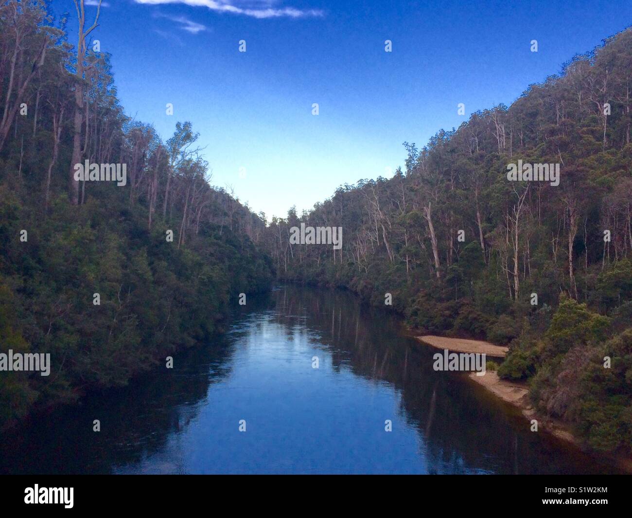 River channels and forest Stock Photo - Alamy