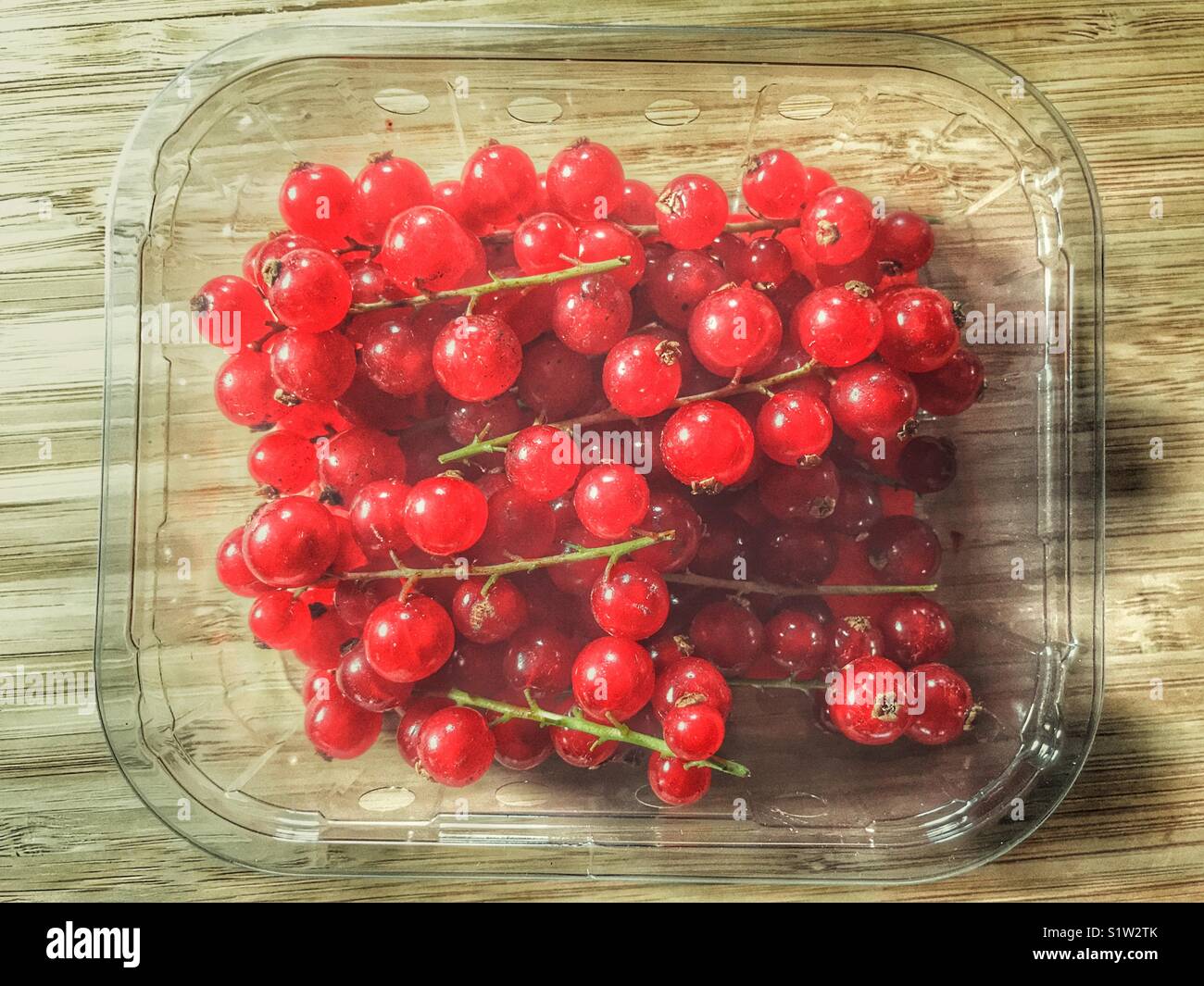Red currants in a clear plastic tray Stock Photo - Alamy
