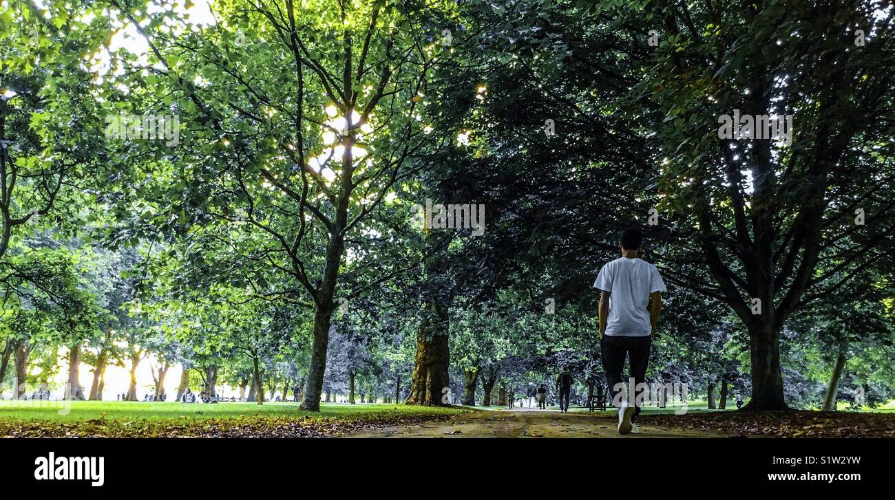 Deep walk inside the park Stock Photo - Alamy