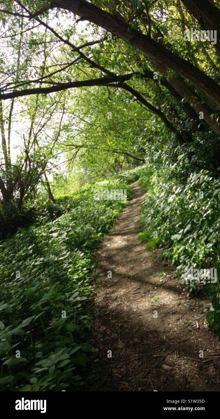 You make your own path Stock Photo - Alamy You make your own path Stock Photo - Alamy