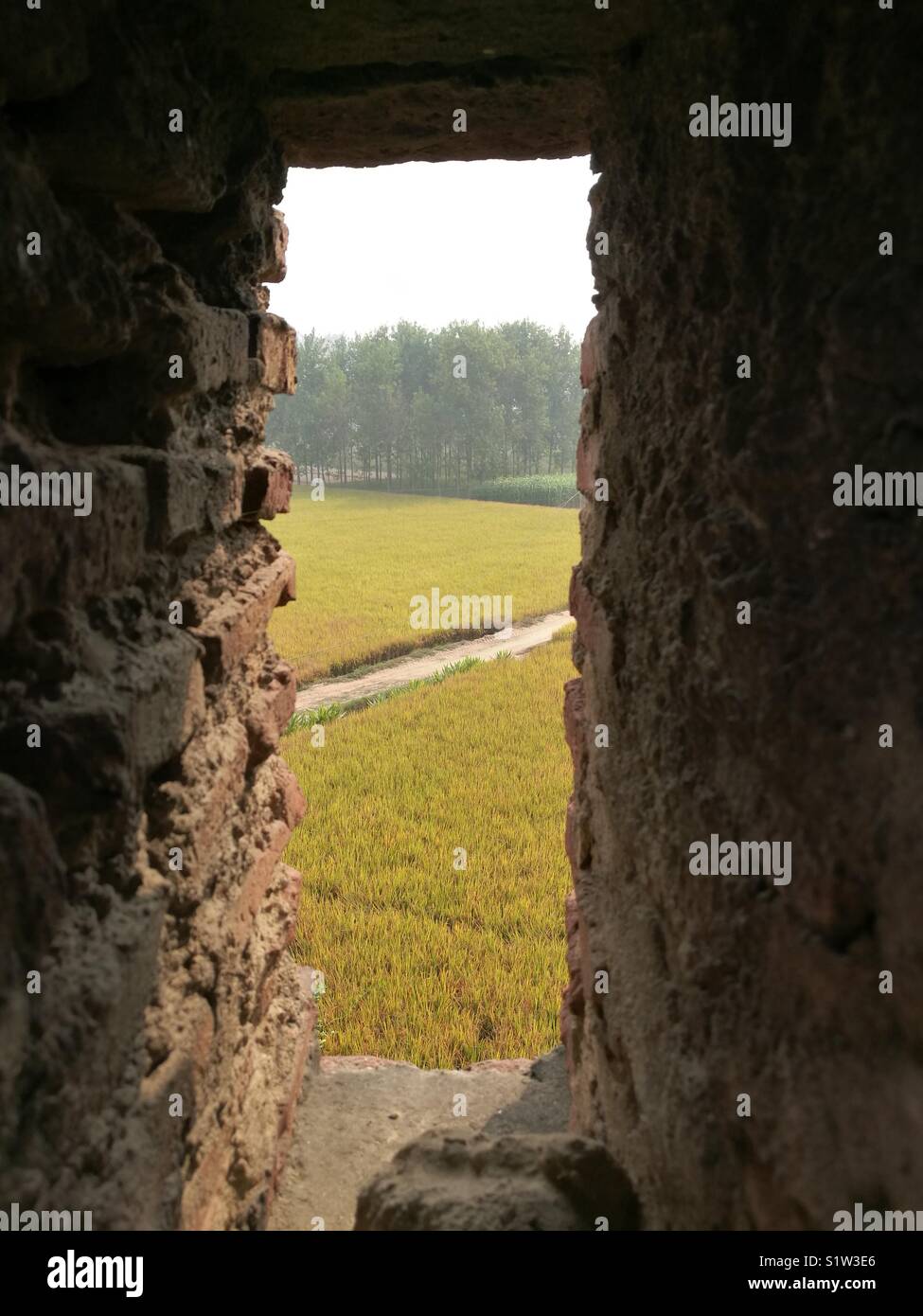 Fields seen from a window Stock Photo - Alamy