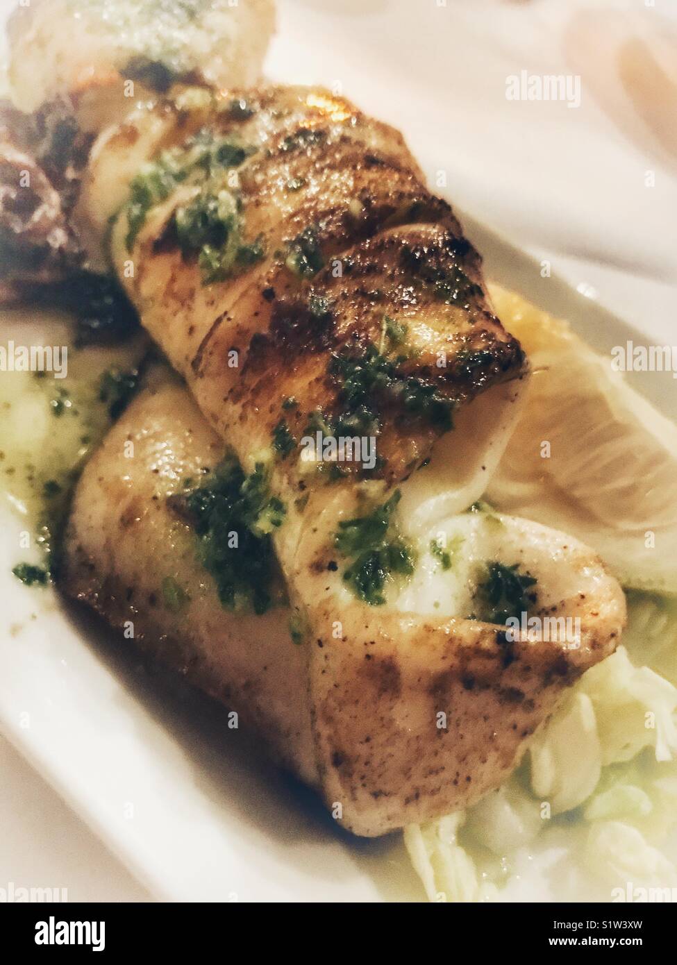 Spanish food. Grilled cuttlefish, or Sepia a la plancha Stock Photo - Alamy