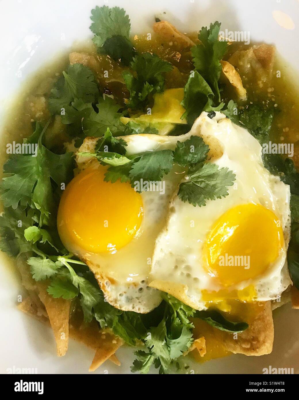 Green Chilaquiles con huevo in a restaurant of Mexico City Stock Photo ...