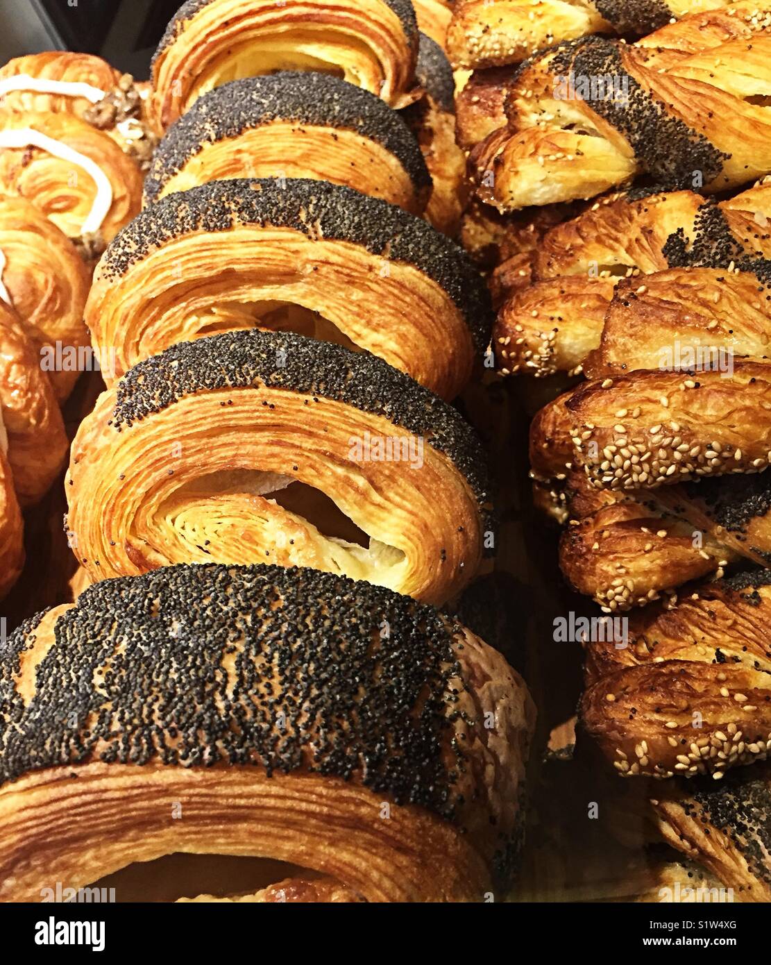 Bakery display of poppy encrusted pastries Stock Photo - Alamy