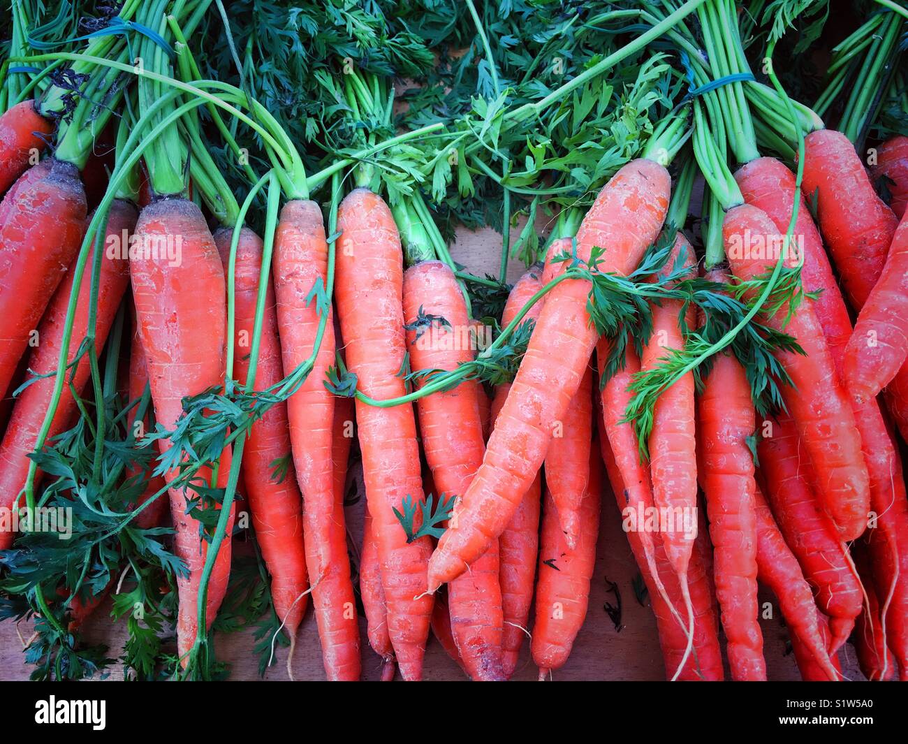 Carrots on display in hi-res stock photography and images - Alamy