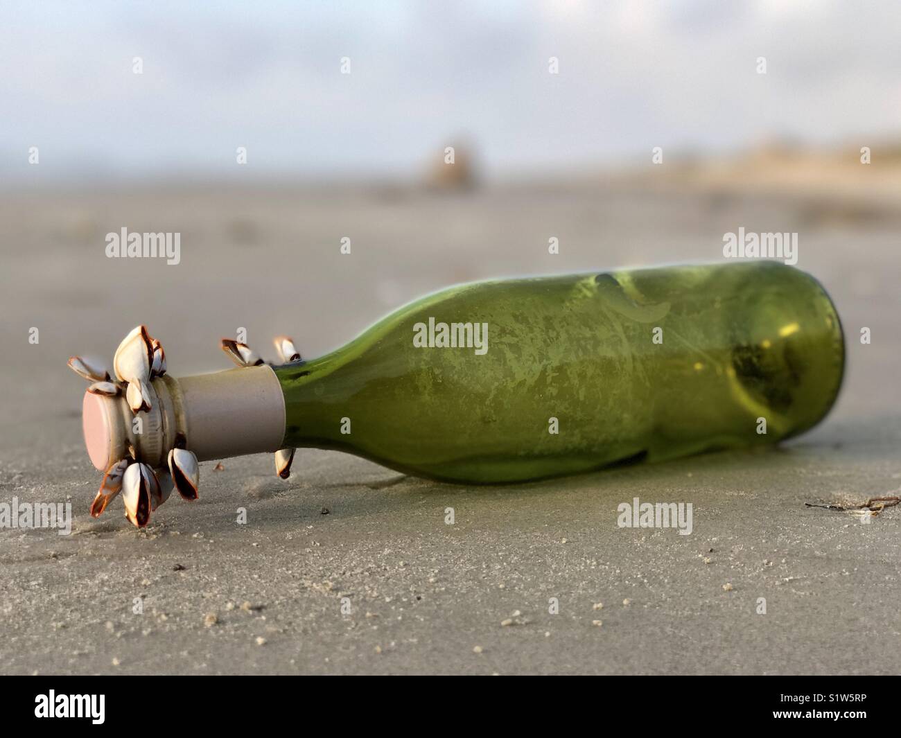Bottle green ocean hi-res stock photography and images - Alamy