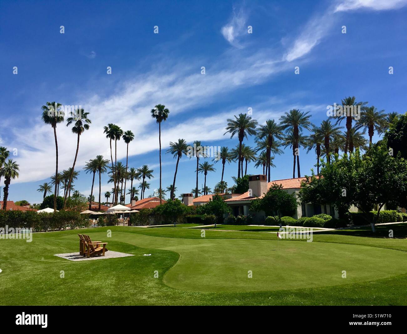 Green palm trees hi-res stock photography and images - Alamy