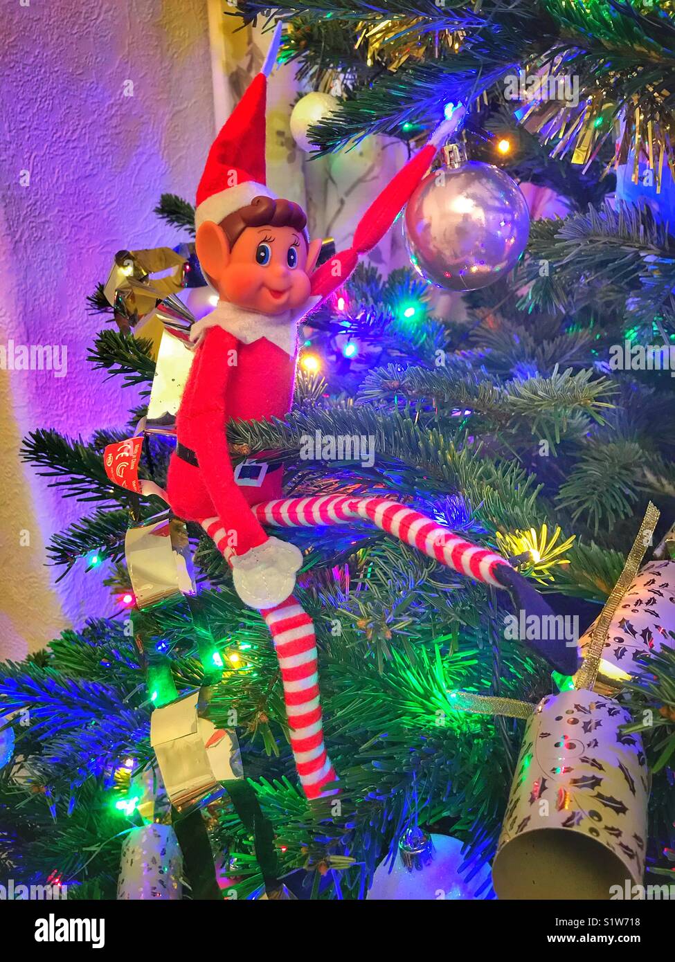 Festive Elf Stock Photos & Festive Elf Stock Images - Alamy