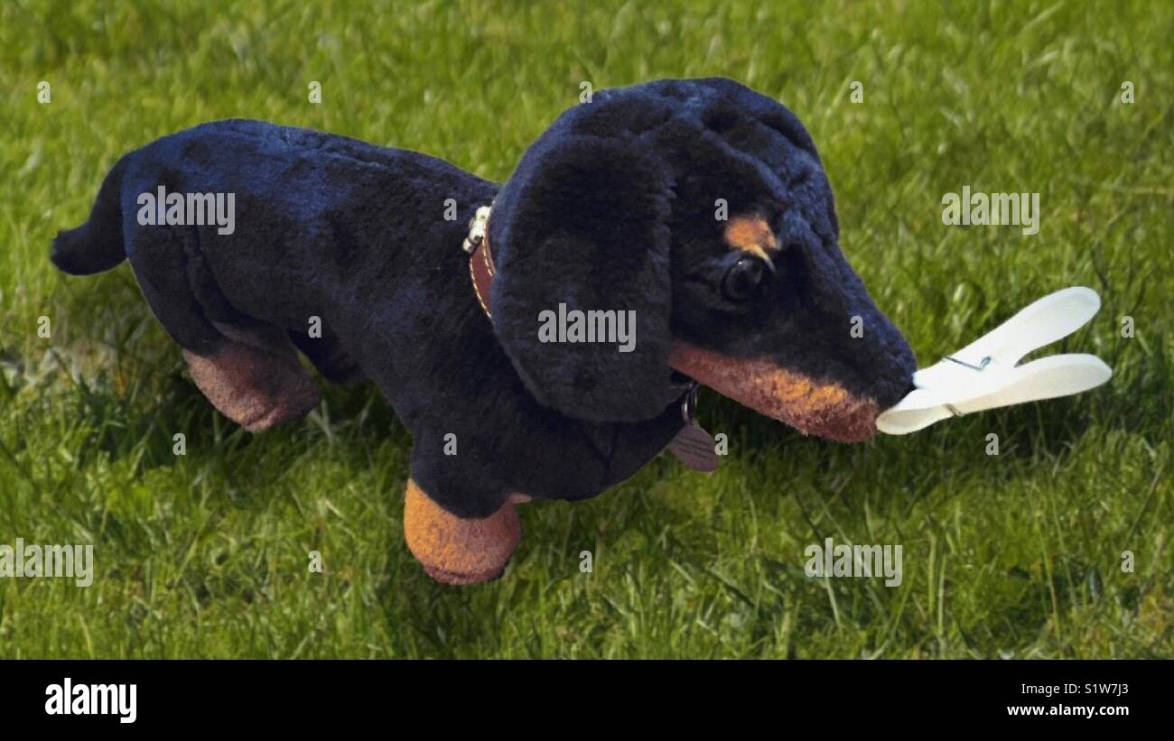 Dog poo doggy doo Stock Photo - Alamy