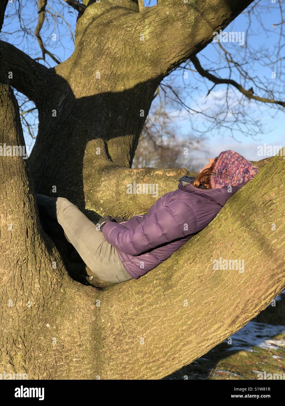 Thinking tree hi-res stock photography and images - Alamy