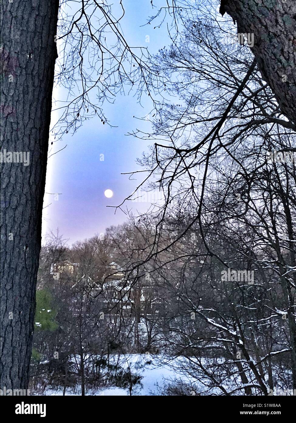 Full moon in January Stock Photo - Alamy