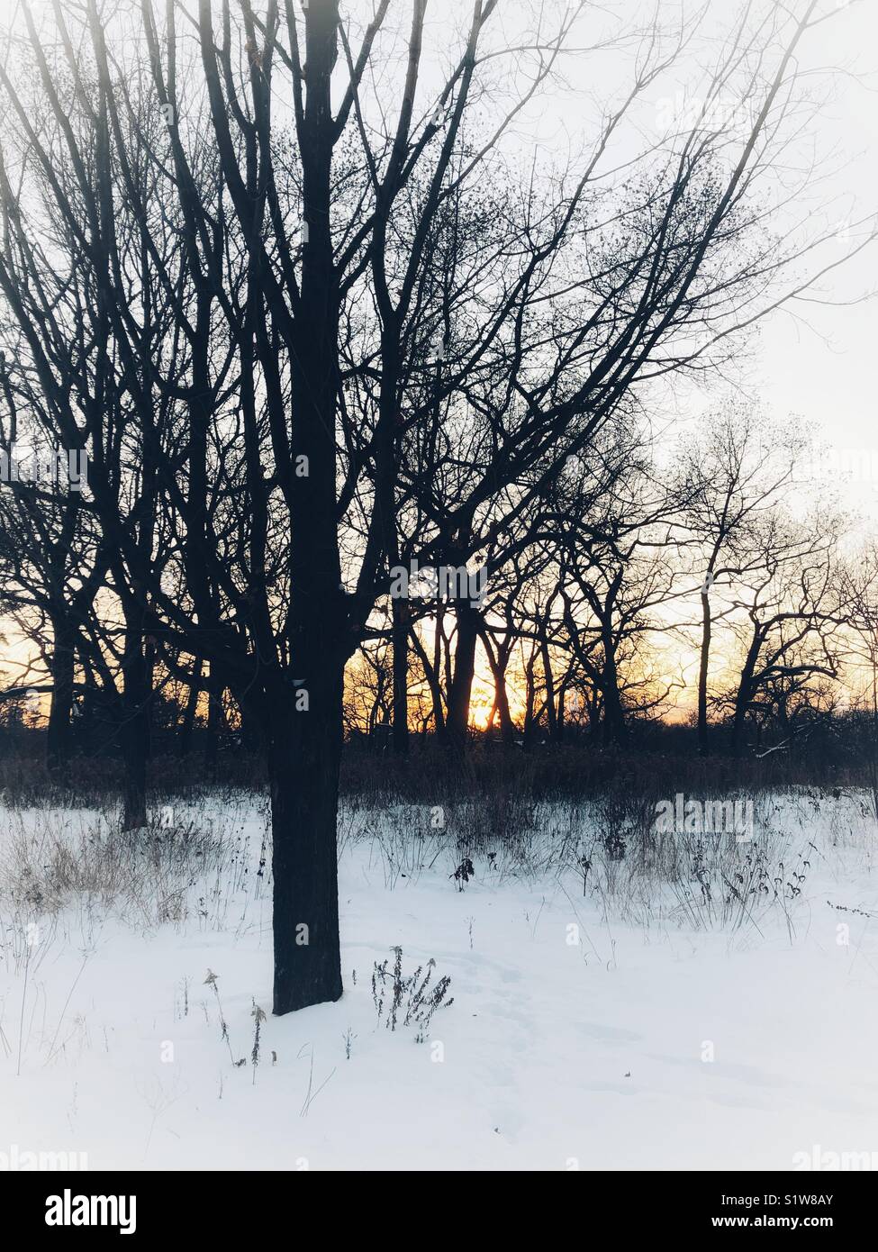 A barren winter landscape in Ontario, Canada Stock Photo - Alamy