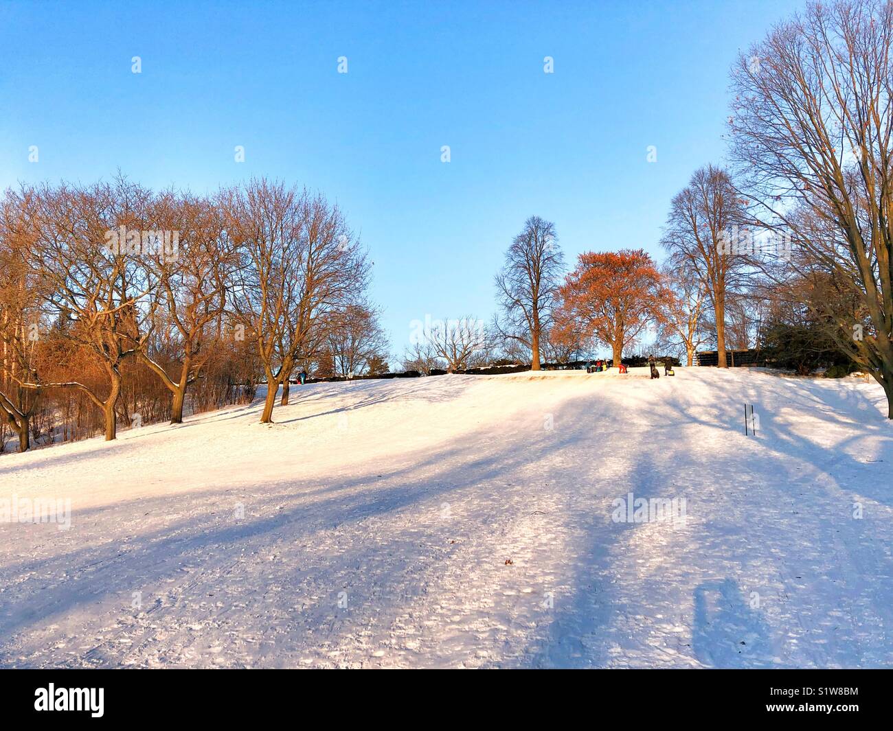 Looking up a snowy hill Stock Photo - Alamy