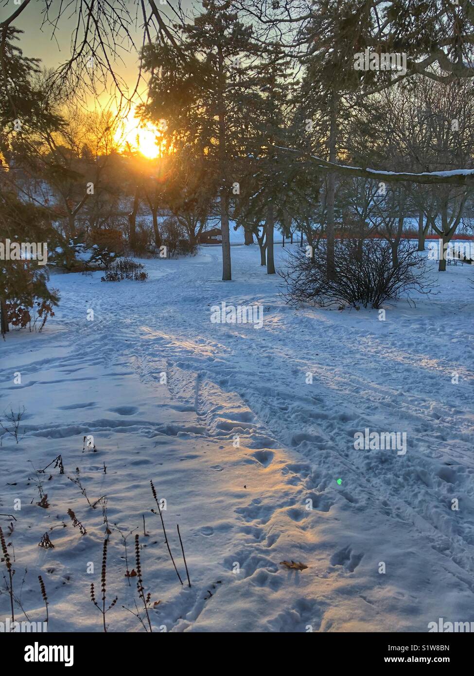 Last sun rays of the day Stock Photo - Alamy