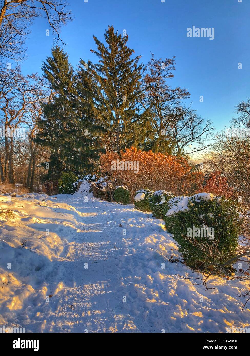 A beautiful sunny winter day Stock Photo - Alamy