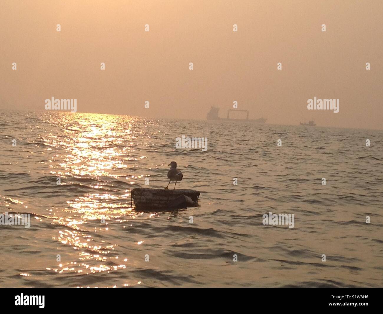 Machine nature hi-res stock photography and images - Alamy