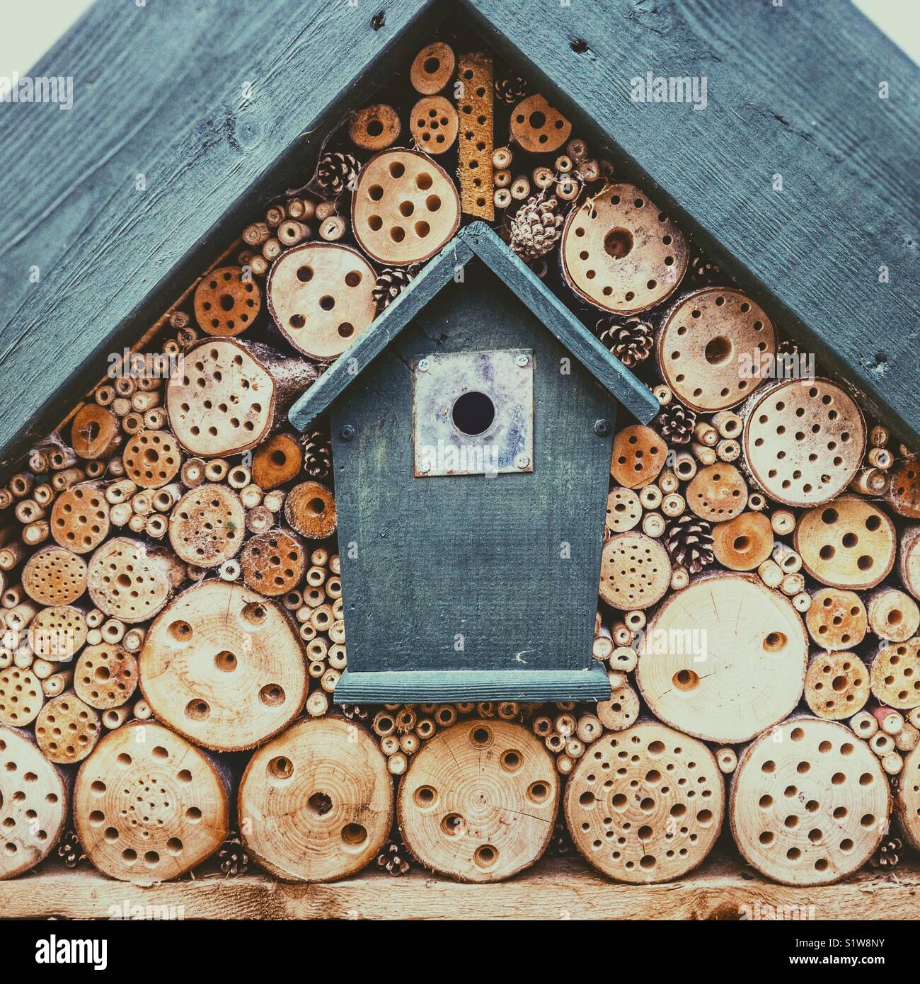 Bird box and bug hotel in garden Stock Photo - Alamy