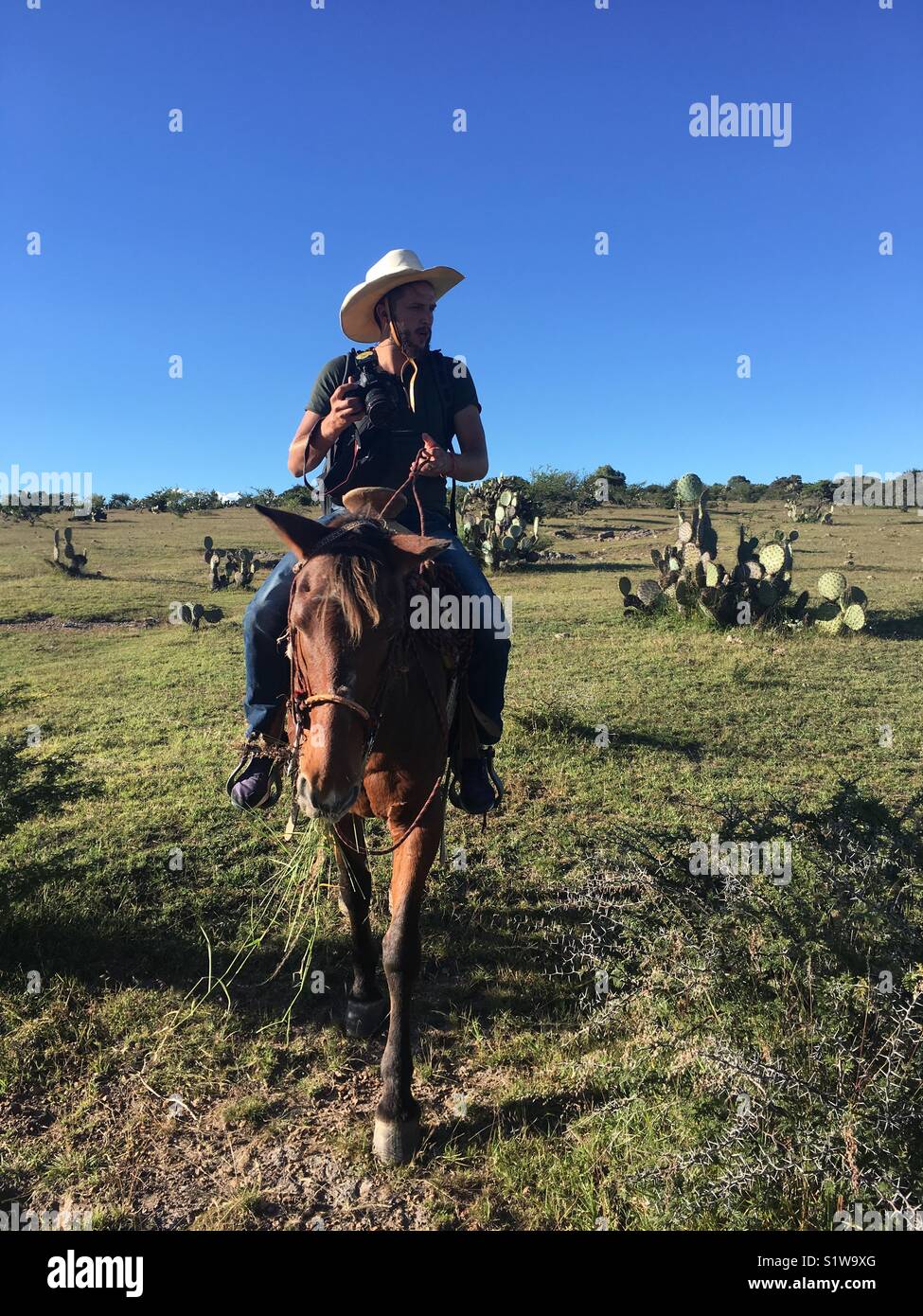 Real Cowboy High Resolution Stock Photography and Images - Alamy