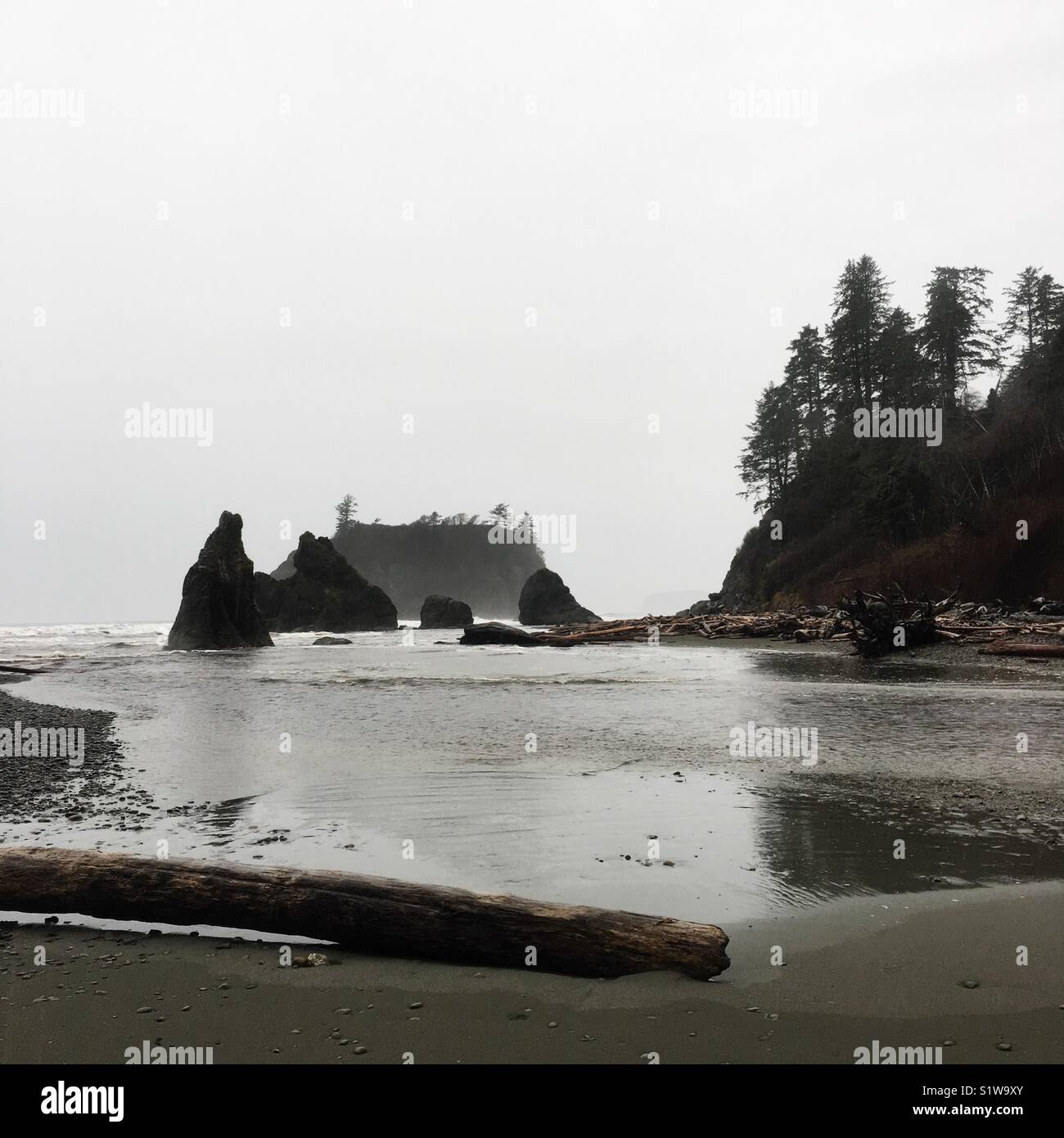 Winter at Ruby Beach Stock Photo - Alamy