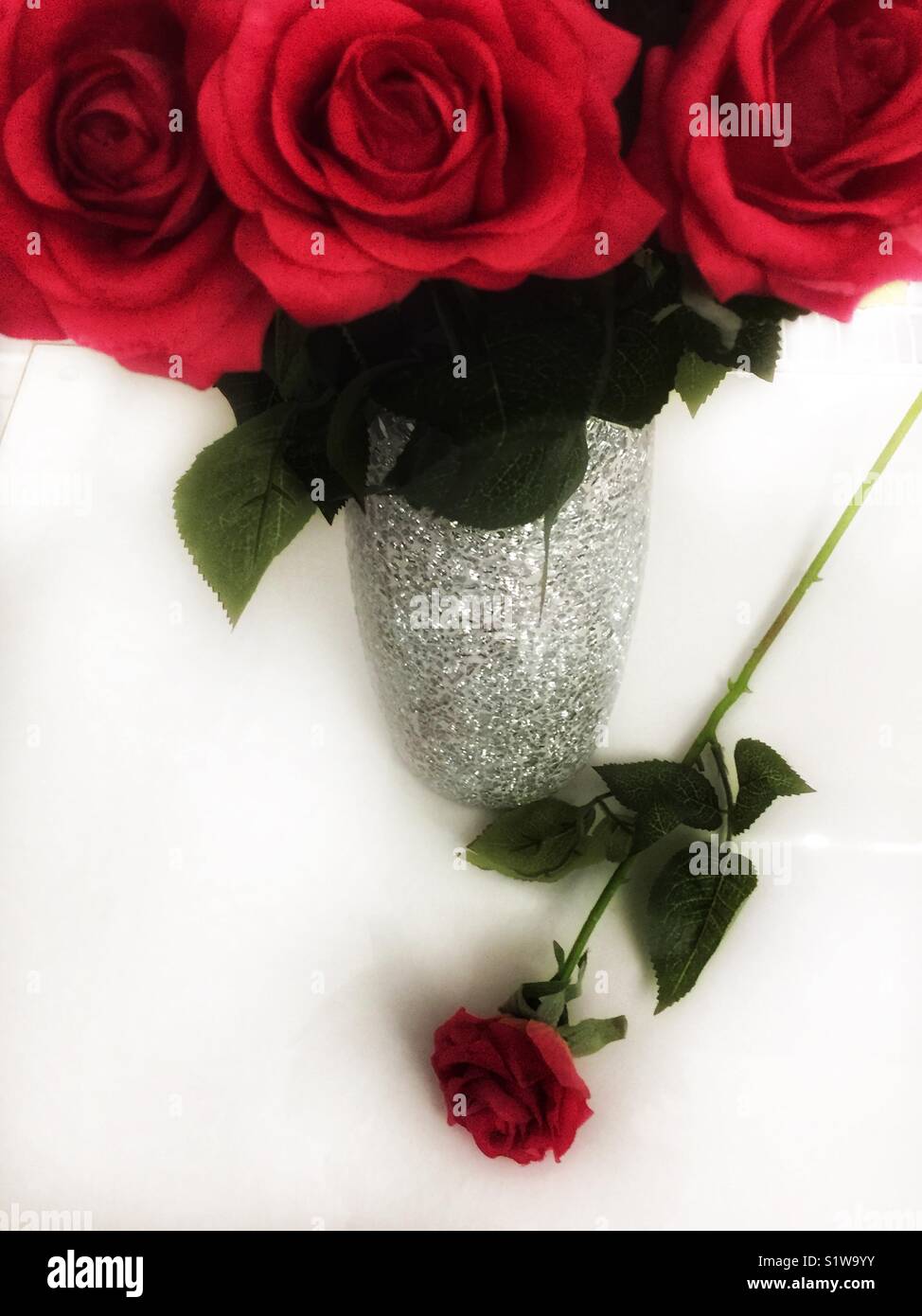 Diamond case hi-res stock photography and images - Alamy