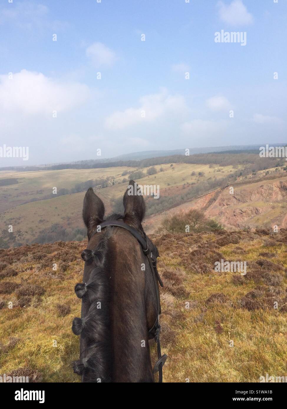 Quantocks hi-res stock photography and images - Alamy