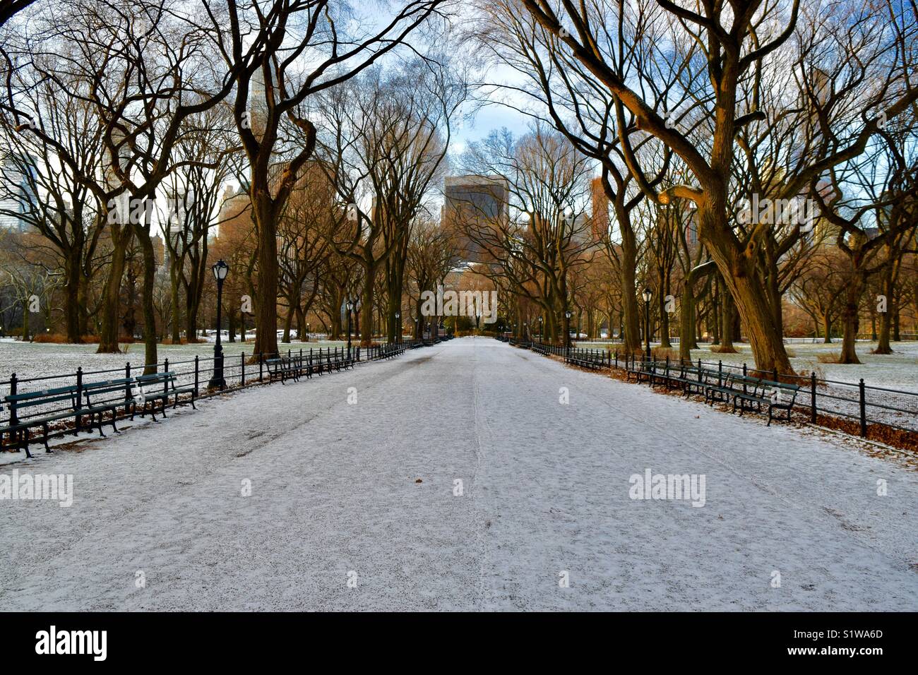 Cold morning in Central Park Stock Photo - Alamy