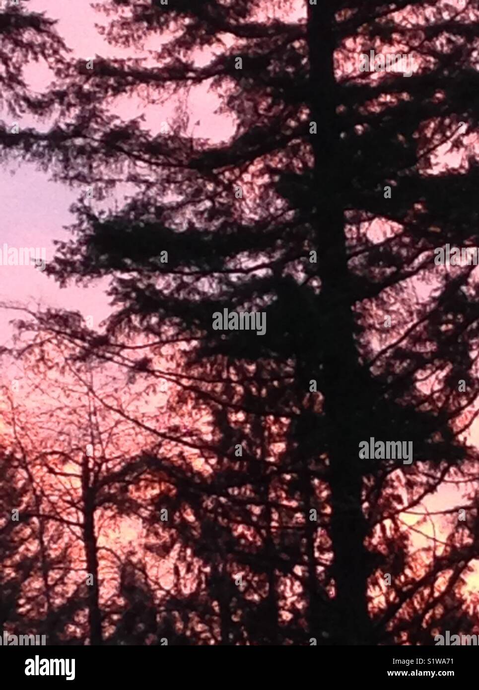 Red morning sky hi-res stock photography and images - Alamy