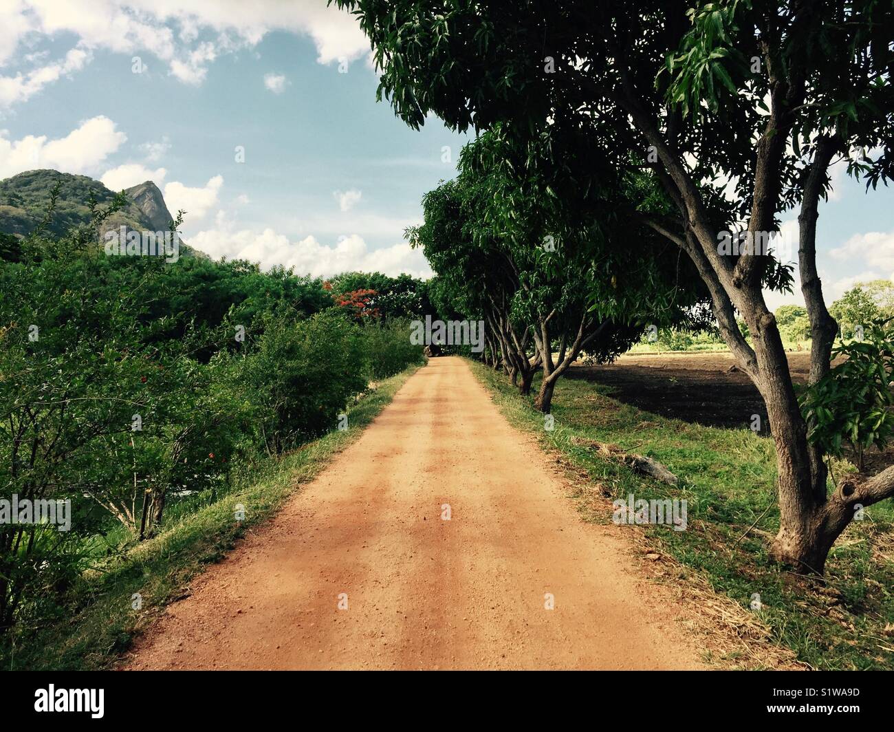 Gravel pathways hi-res stock photography and images - Alamy