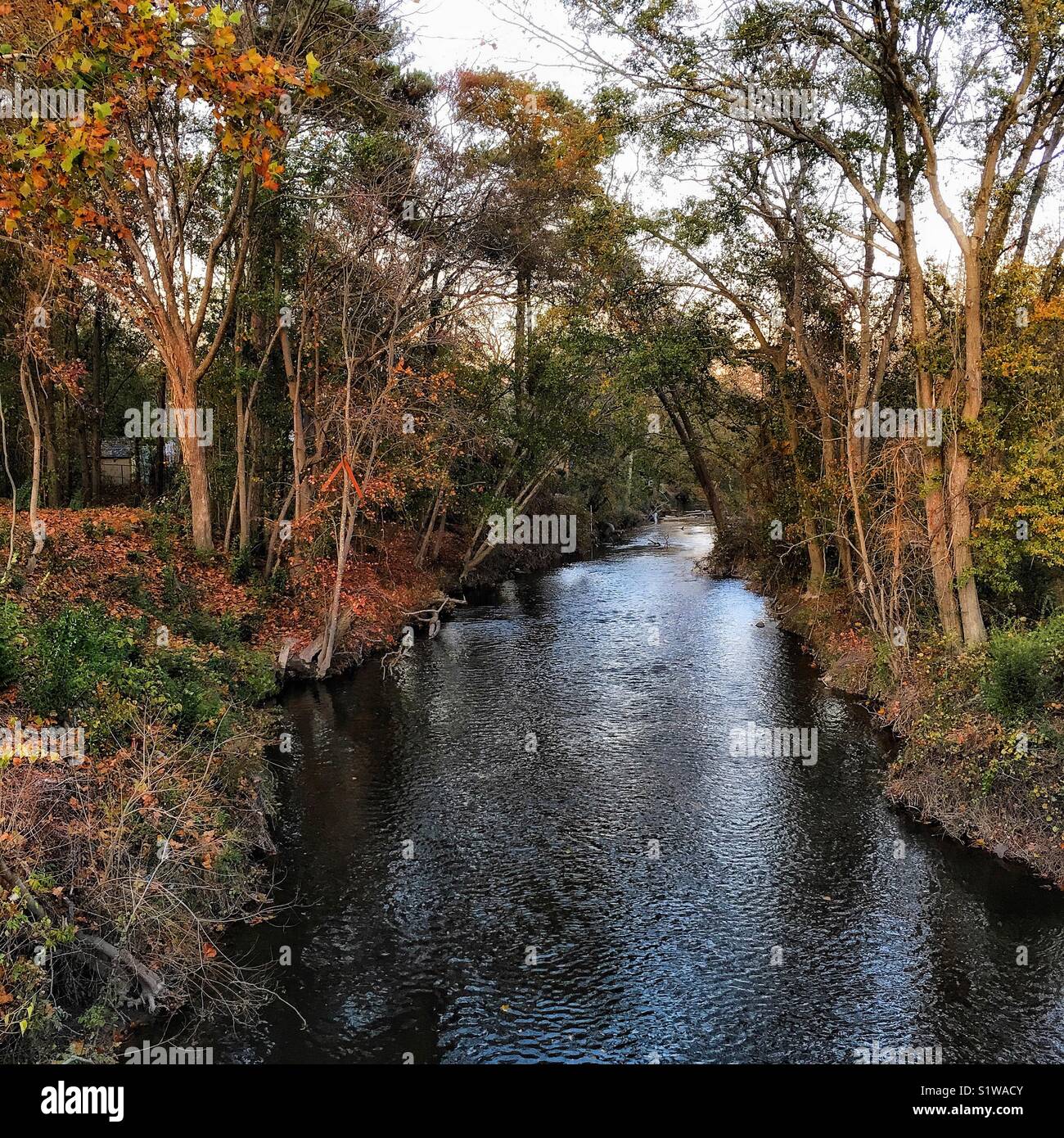 Creekside photography hi-res stock photography and images - Alamy