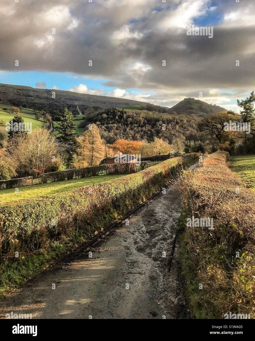 Dee lane hi-res stock photography and images - Alamy