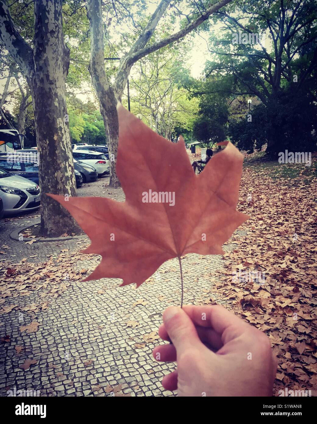 Car leaf spring hi-res stock photography and images - Alamy