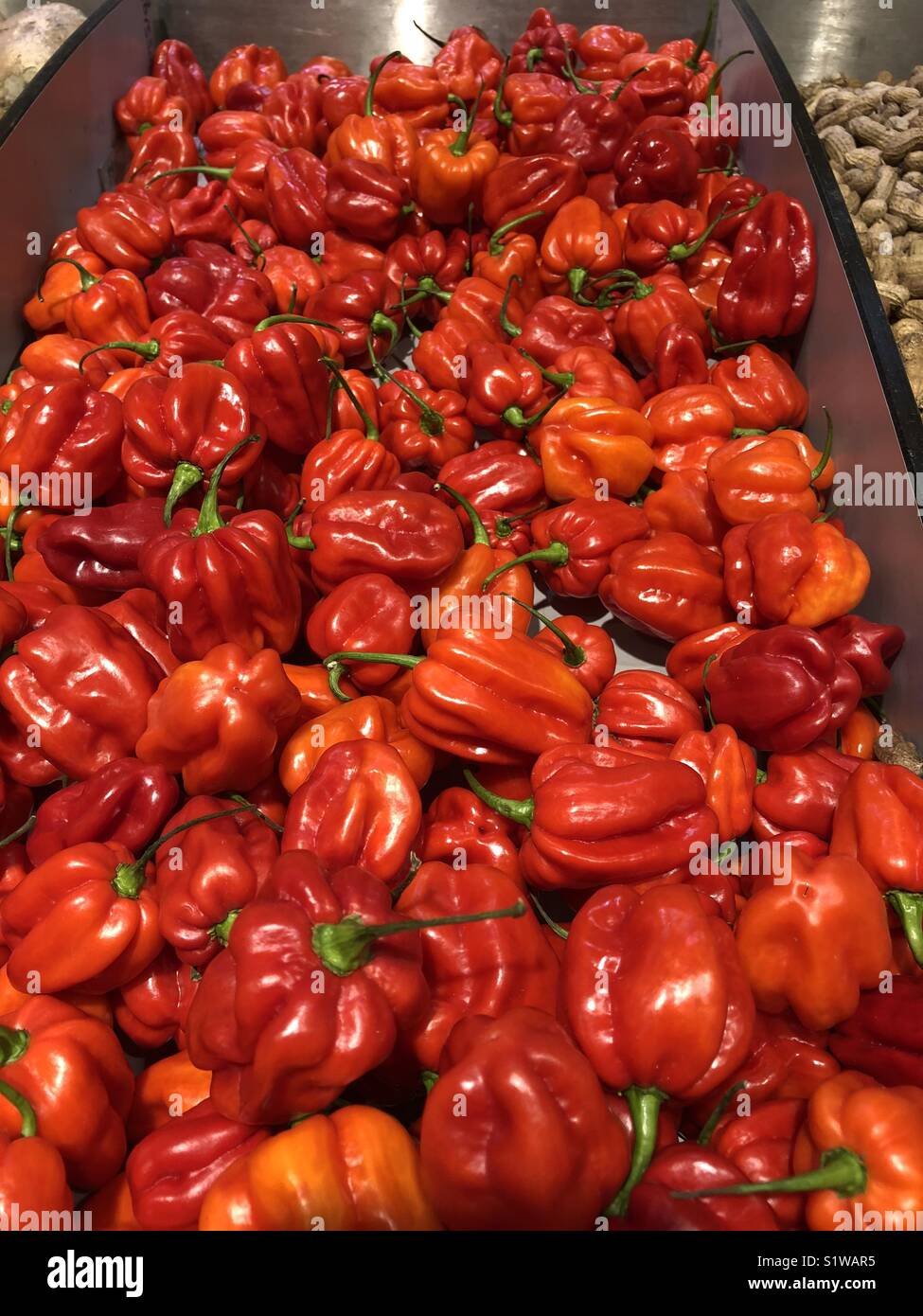 Beautiful peppers hi-res stock photography and images - Alamy
