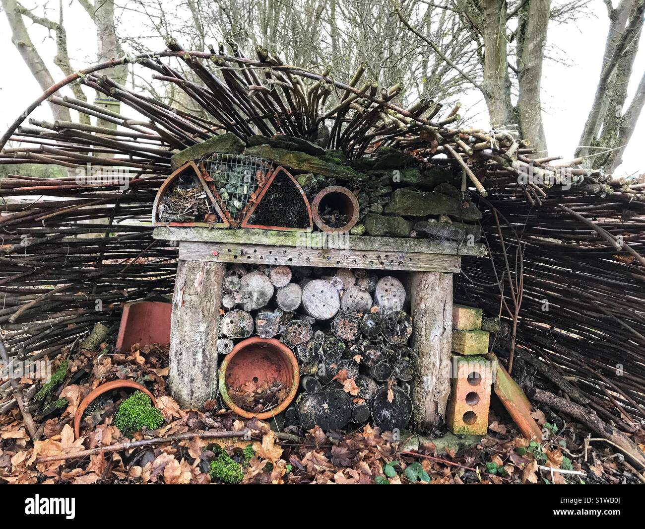 Bug hotel bricks hi-res stock photography and images - Alamy