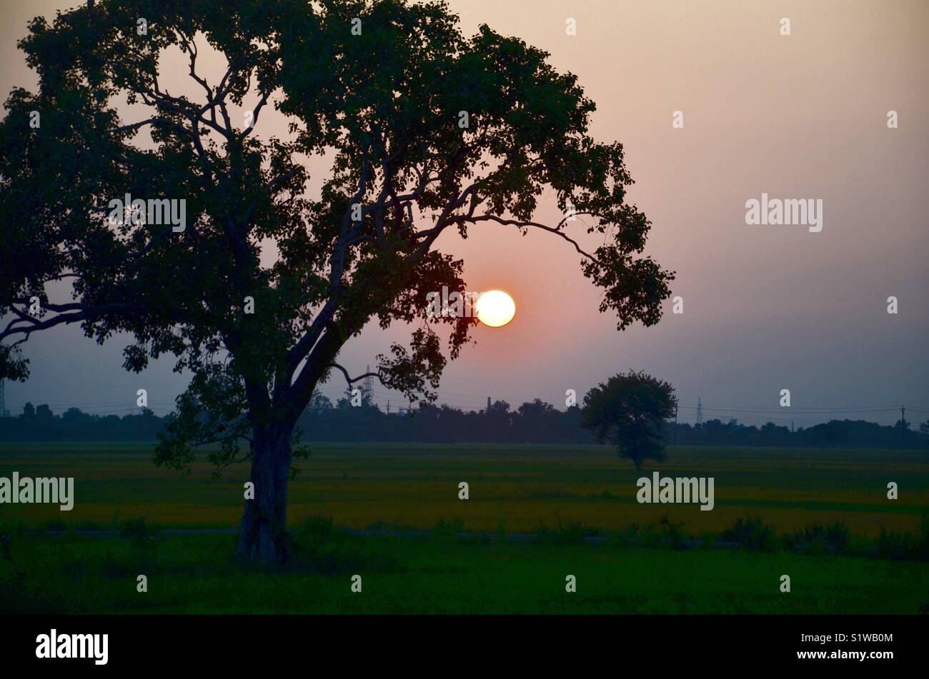 Bihar Stock Photos & Bihar Stock Images - Alamy