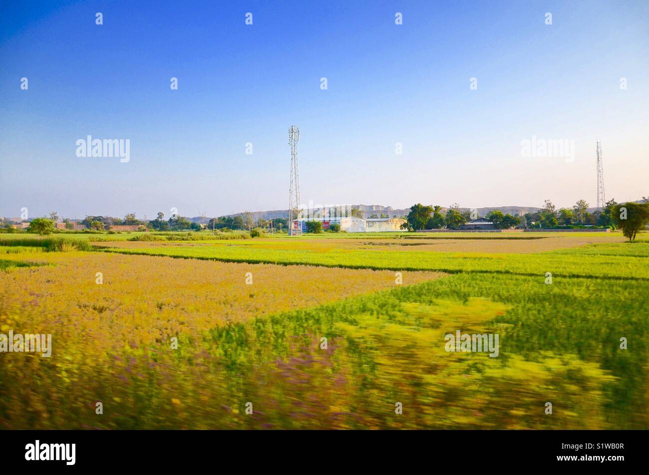 Bihar Stock Photos & Bihar Stock Images - Alamy