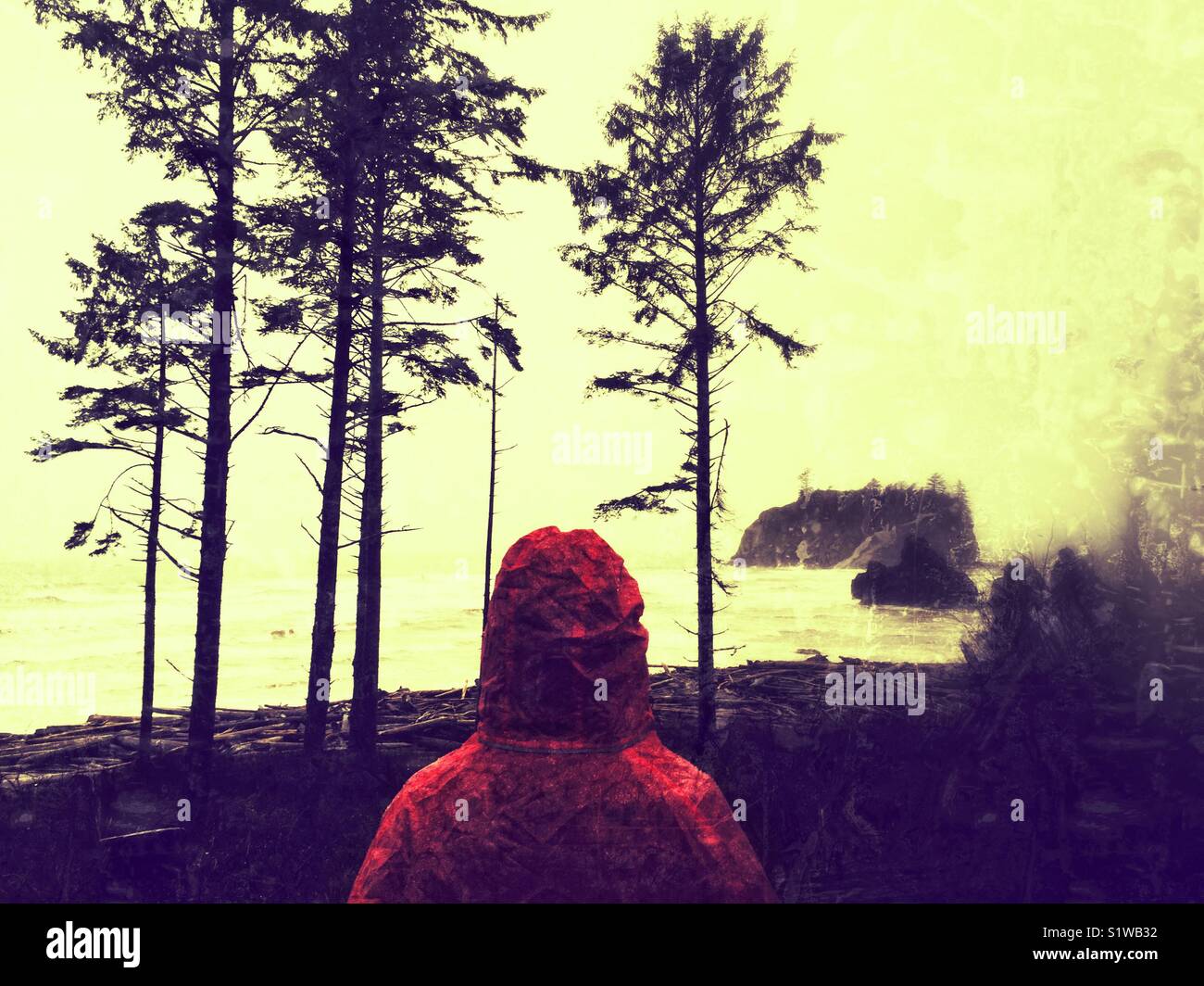 Rainy day on the Ruby Beach, Olympic Peninsula, Washington state Stock ...