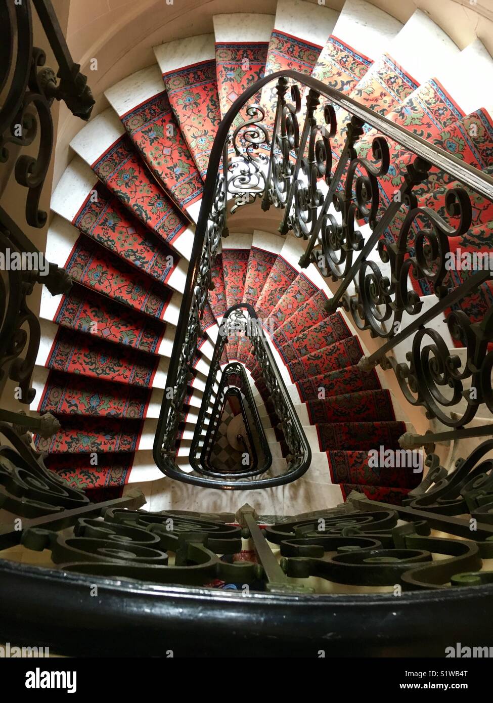 Hausmannian hi-res stock photography and images - Alamy