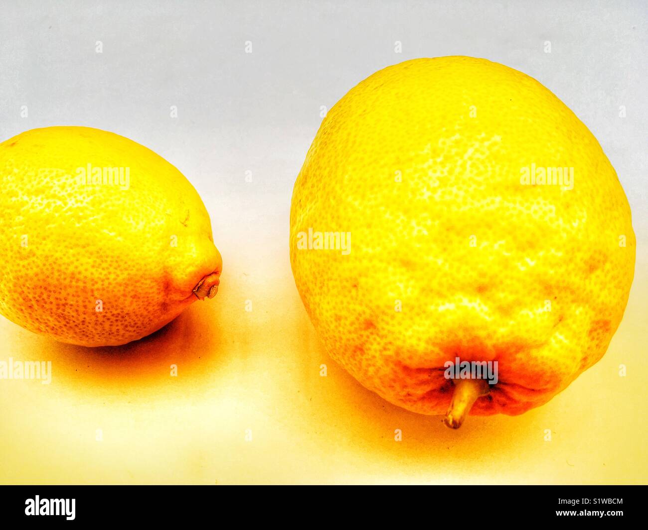 Imported citrus fruit hi-res stock photography and images - Alamy