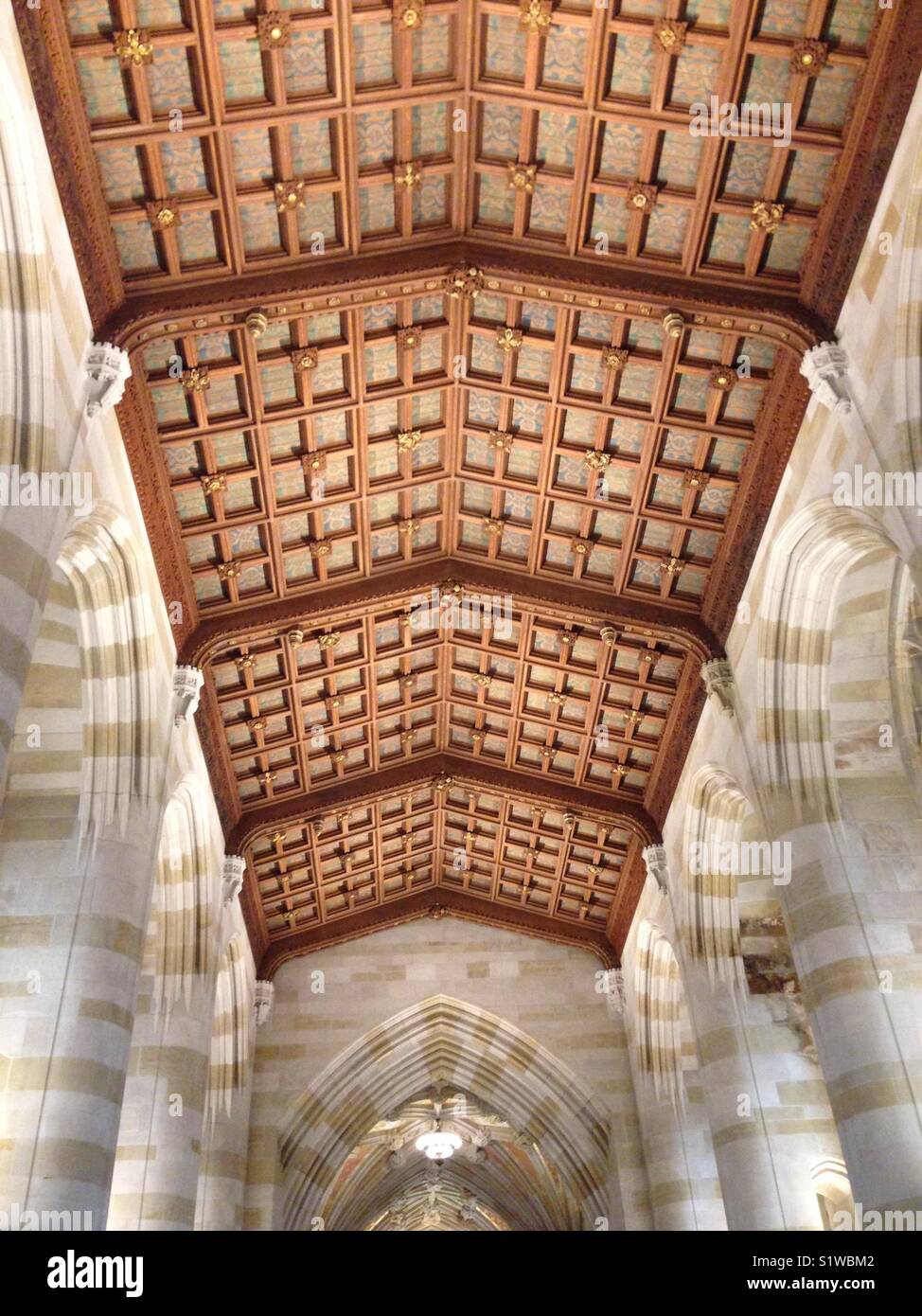 Library with ceiling hi-res stock photography and images - Alamy