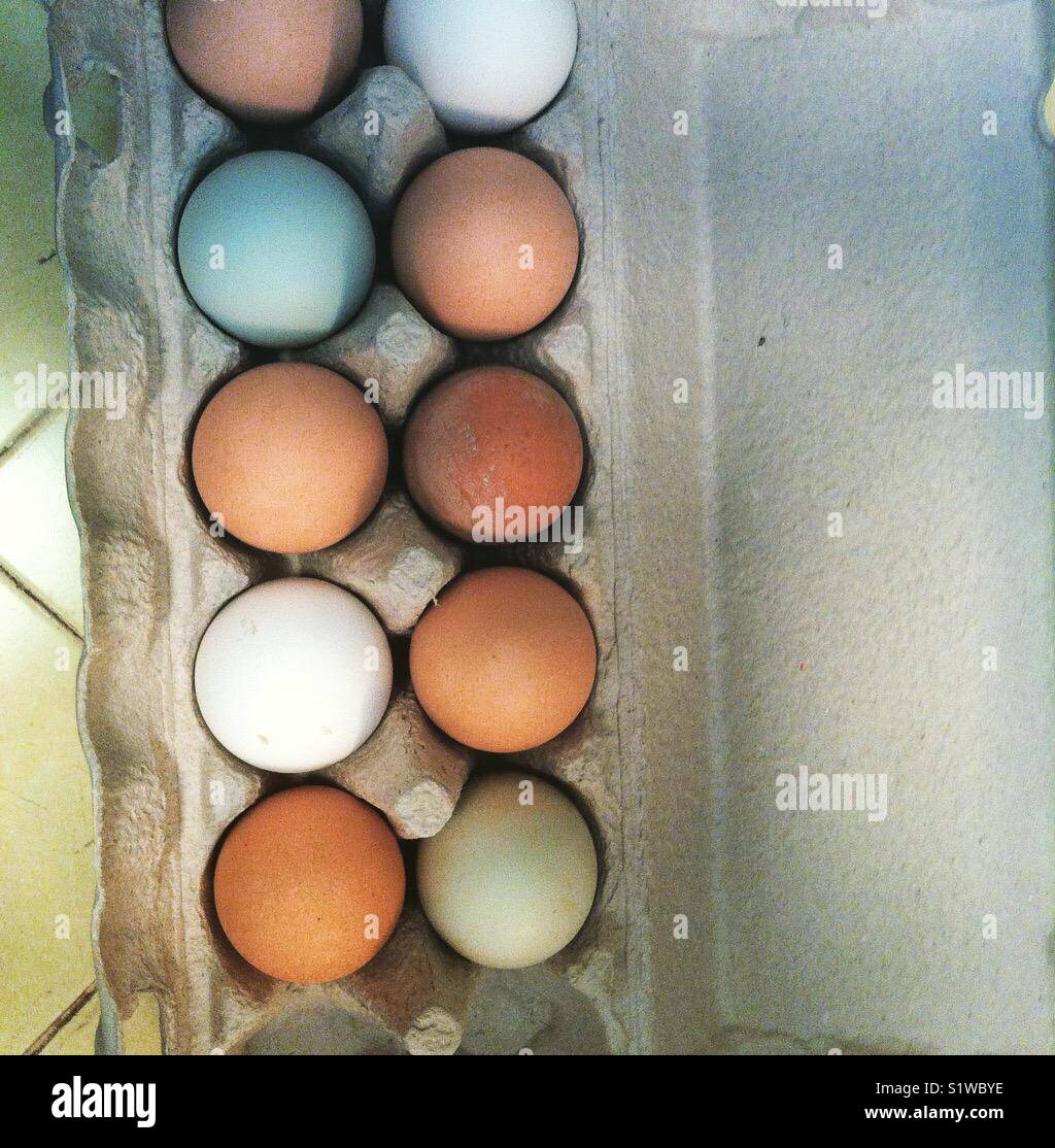 Farm fresh eggs Stock Photo - Alamy
