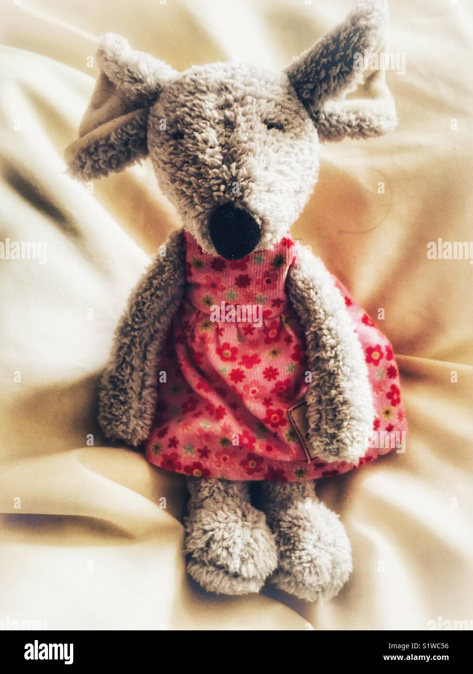 Plush and soft hi-res stock photography and images - Alamy