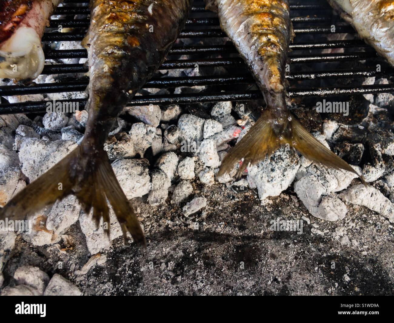 Mackerel fish tail on the grill close up Stock Photo - Alamy