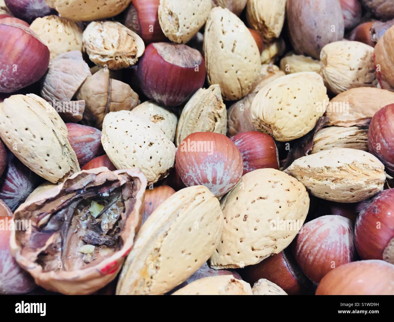 Nuts and seeds garden Stock Photo - Alamy